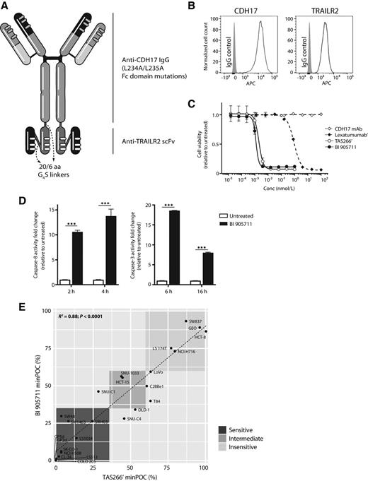 Selective Tumor Cell Apoptosis and Tumor Regression in CDH17-Positive ...