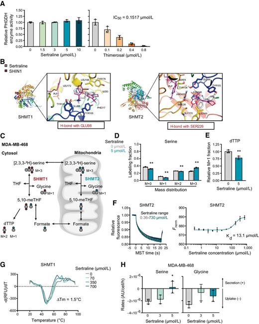 Repurposing the Antidepressant Sertraline as SHMT Inhibitor to Suppress ...
