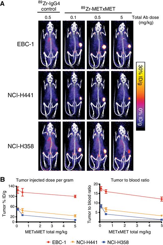 A Biparatopic Antibody–Drug Conjugate to Treat MET-Expressing Cancers ...
