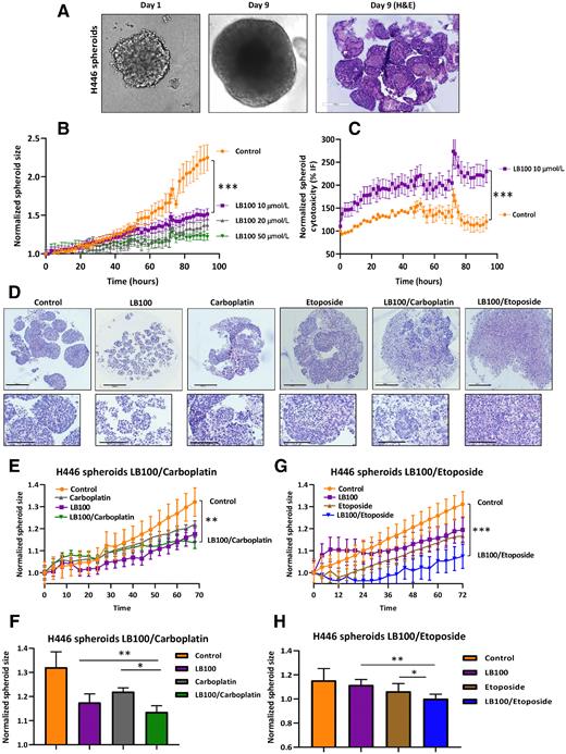 Protein Phosphatase 2A as a Therapeutic Target in Small Cell Lung ...