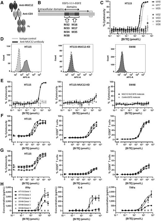 Preclinical Assessment of a MUC12-Targeted BiTE (Bispecific T-cell ...