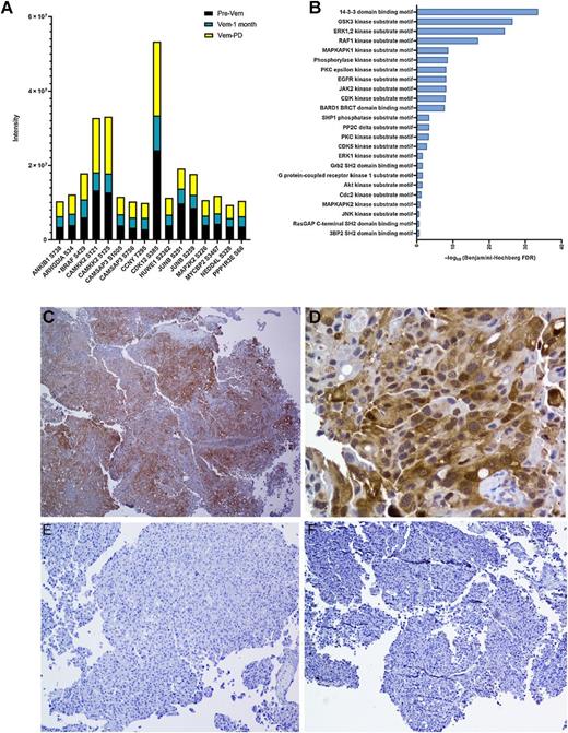 Phase I/II Trial of Vemurafenib in Dogs with Naturally Occurring, BRAF ...