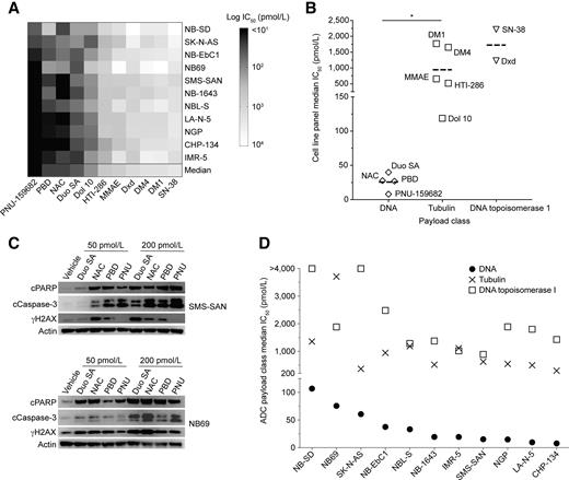 Antibody–Drug Conjugate Efficacy in Neuroblastoma: Role of Payload ...