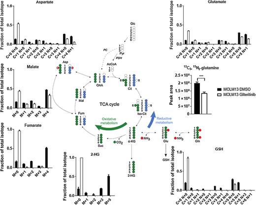 Gilteritinib Inhibits Glutamine Uptake and Utilization in FLT3-ITD ...