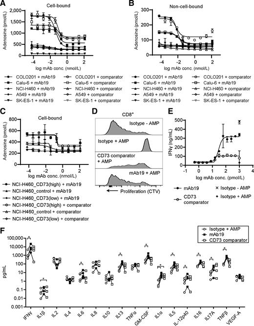 A Novel Antagonistic CD73 Antibody for Inhibition of the ...