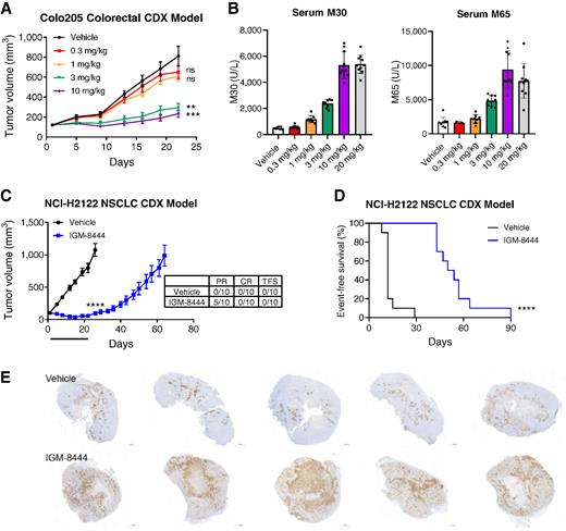 Multimeric Anti-DR5 IgM Agonist Antibody IGM-8444 Is a Potent Inducer ...
