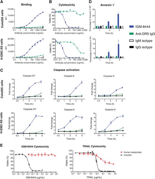 Multimeric Anti-DR5 IgM Agonist Antibody IGM-8444 Is a Potent Inducer ...
