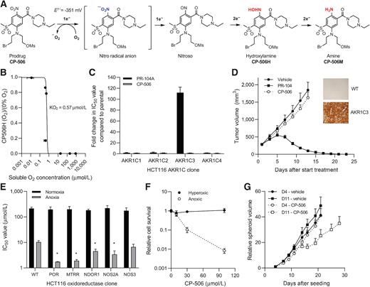 Selectively Targeting Tumor Hypoxia With the Hypoxia-Activated Prodrug ...