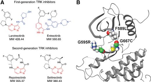 Molecular Characteristics of Repotrectinib That Enable Potent ...