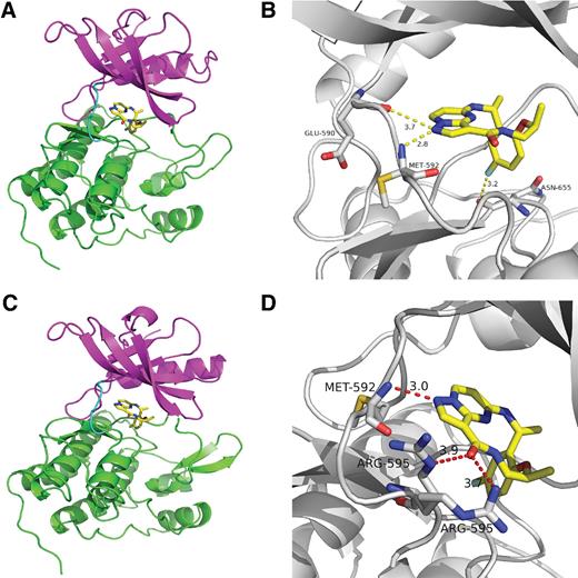 Molecular Characteristics of Repotrectinib That Enable Potent ...