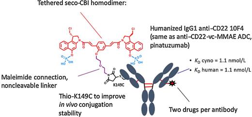 An Anti–CD22-seco-CBI-Dimer Antibody–Drug Conjugate (ADC) for the ...