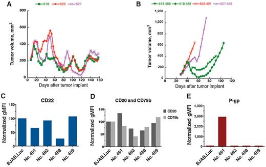 An Anti–CD22-seco-CBI-Dimer Antibody–Drug Conjugate (ADC) for the ...