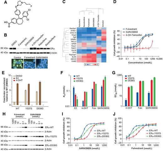 SAR439859, a Novel Selective Estrogen Receptor Degrader (SERD ...