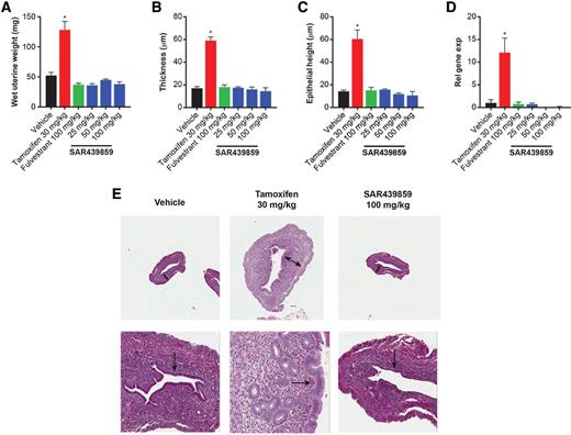 SAR439859, a Novel Selective Estrogen Receptor Degrader (SERD ...