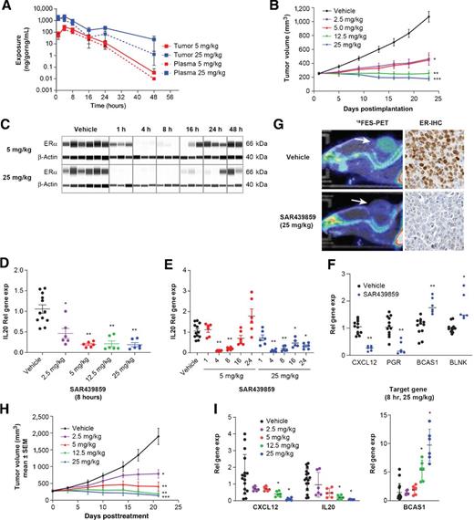 SAR439859, a Novel Selective Estrogen Receptor Degrader (SERD ...