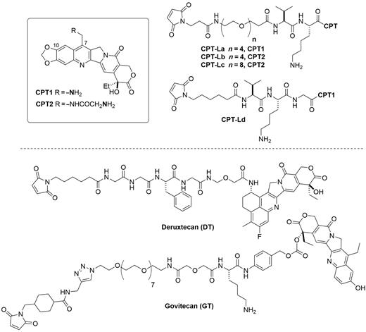 Development of Novel Antibody–Camptothecin Conjugates | Molecular ...