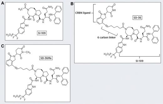 Targeting STAT3 with Proteolysis Targeting Chimeras and Next-Generation ...