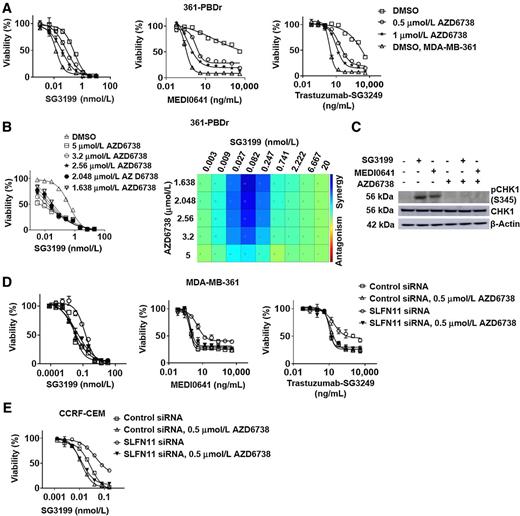 Resistance to Pyrrolobenzodiazepine Dimers Is Associated with SLFN11 ...