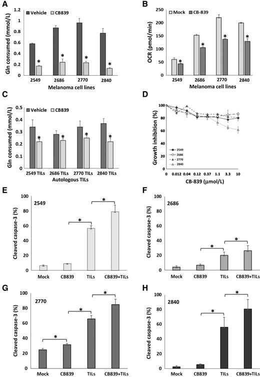 The Glutaminase Inhibitor CB-839 (Telaglenastat) Enhances the ...