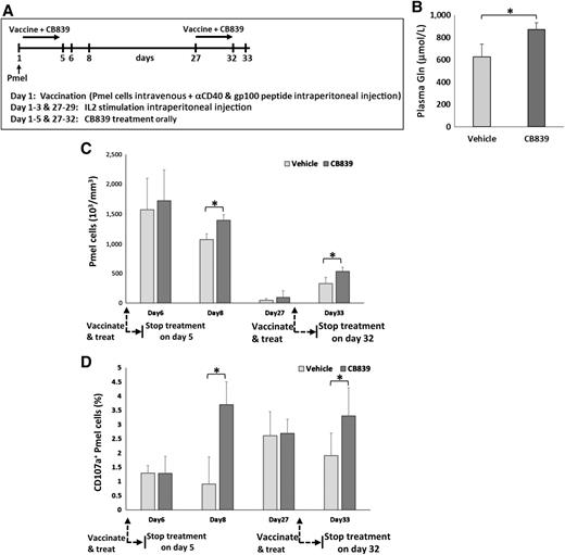 The Glutaminase Inhibitor CB-839 (Telaglenastat) Enhances the ...