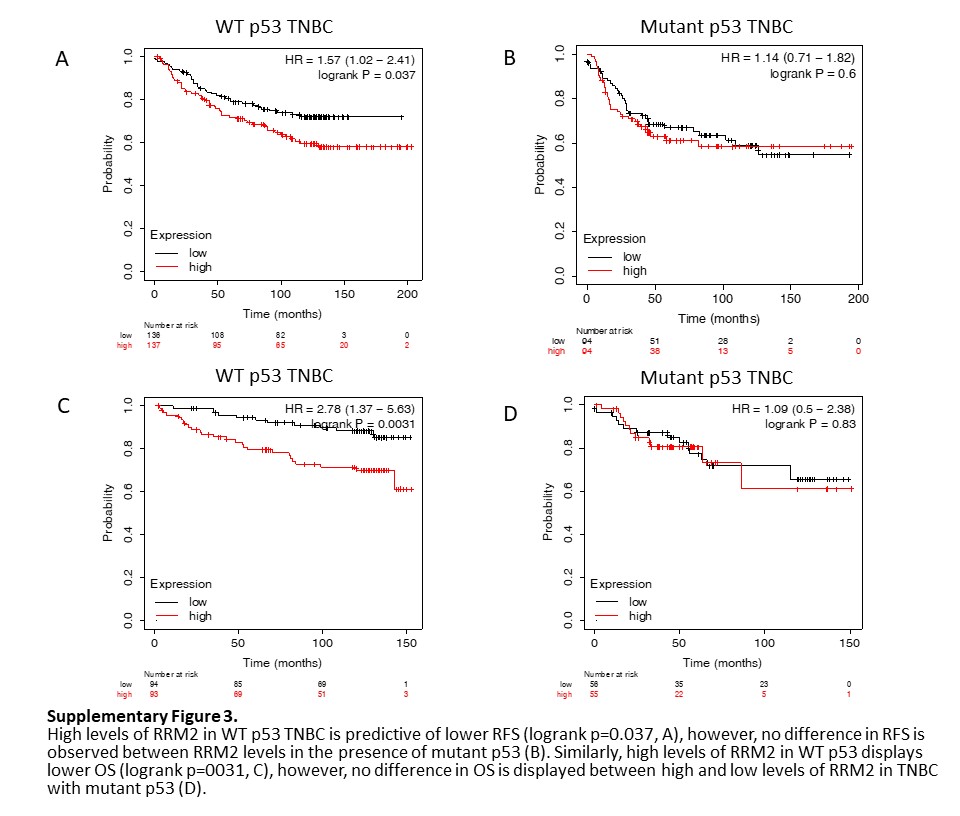 Molecular Targeting of RRM2, NF-κB, and Mutant TP53 for the Treatment ...
