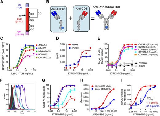 Anti-LYPD1/CD3 T-Cell-Dependent Bispecific Antibody for the Treatment ...