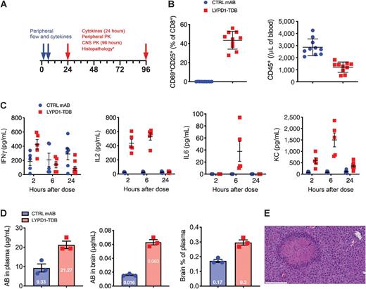 Anti-LYPD1/CD3 T-Cell-Dependent Bispecific Antibody for the Treatment ...