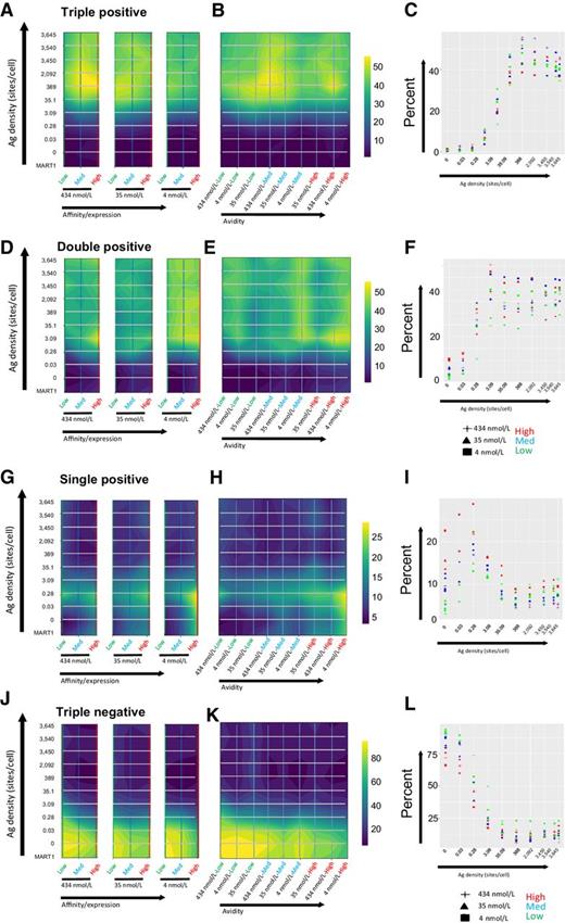 Shaping Functional Avidity of CAR T Cells: Affinity, Avidity, and ...
