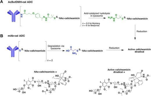 Calicheamicin Antibody–Drug Conjugates with Improved Properties ...
