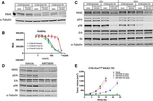 The KRASG12C Inhibitor MRTX849 Reconditions the Tumor Immune ...