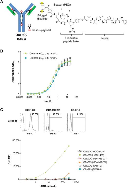 Preclinical Studies of OBI-999: A Novel Globo H–Targeting Antibody–Drug ...