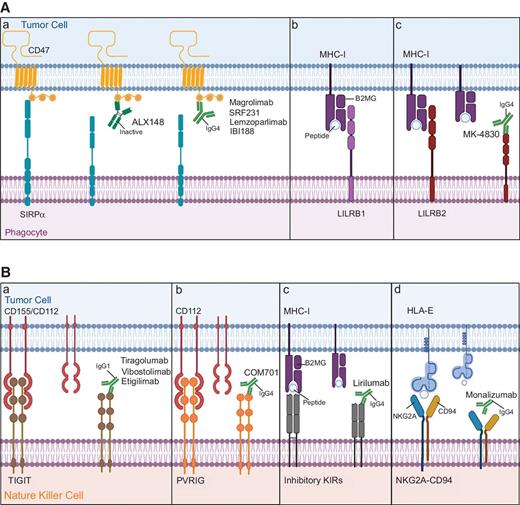 Innate Immune Checkpoint Inhibitors: The Next Breakthrough in Medical ...