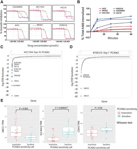 PCA062, a P-cadherin Targeting Antibody–Drug Conjugate, Displays Potent ...