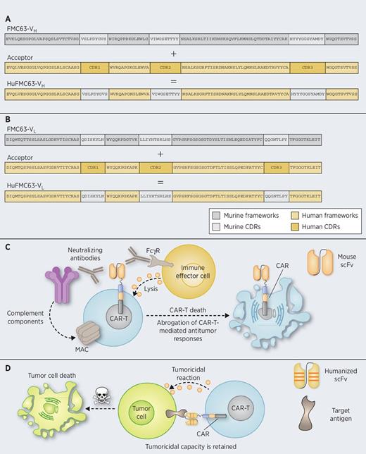In Like a Lamb; Out Like a Lion: Marching CAR T Cells Toward Enhanced ...
