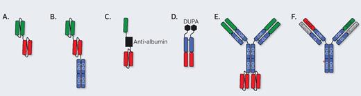 Targeting Solid Tumors Using CD3 Bispecific Antibodies | Molecular ...
