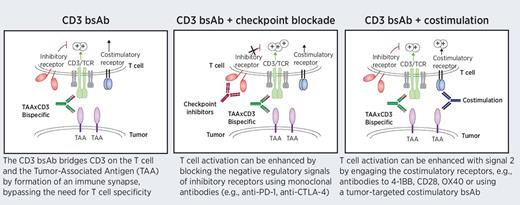 Targeting Solid Tumors Using CD3 Bispecific Antibodies | Molecular ...