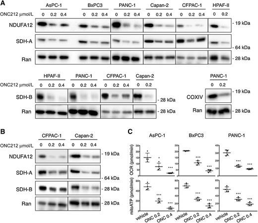 ONC212 is a Novel Mitocan Acting Synergistically with Glycolysis ...