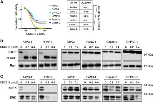 ONC212 is a Novel Mitocan Acting Synergistically with Glycolysis ...