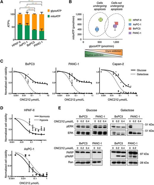 ONC212 is a Novel Mitocan Acting Synergistically with Glycolysis ...