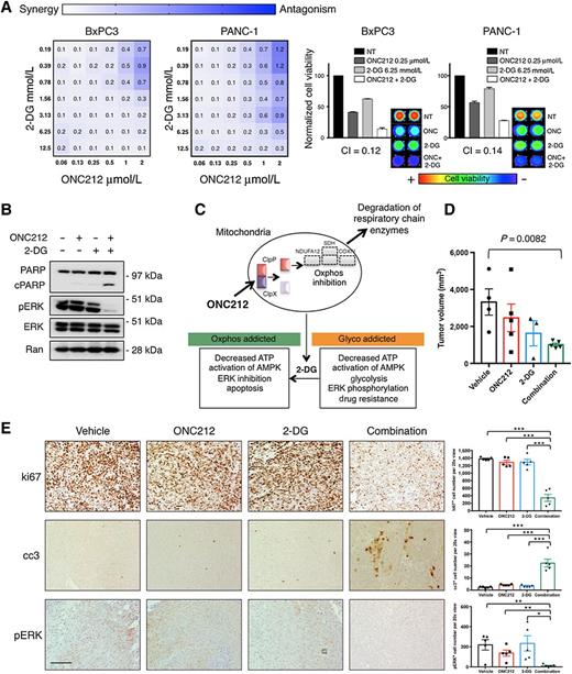 ONC212 is a Novel Mitocan Acting Synergistically with Glycolysis ...