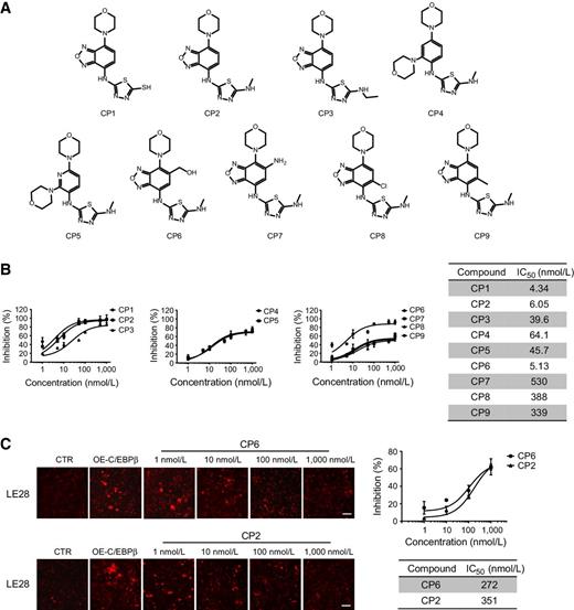 C/EBPβ/AEP Signaling Regulates the Oxidative Stress in Malignant ...