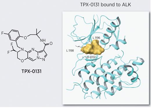 TPX-0131, a Potent CNS-penetrant, Next-generation Inhibitor of Wild ...