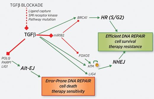 Exploiting Canonical TGFβ Signaling in Cancer Treatment | Molecular ...