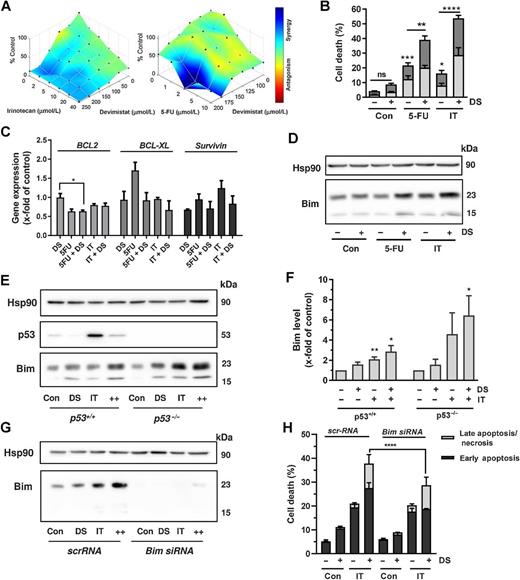 The Mitochondrial Disruptor Devimistat (CPI-613) Synergizes with ...