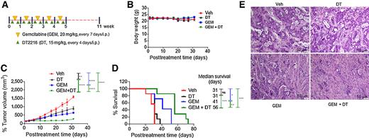 Overcoming Gemcitabine Resistance in Pancreatic Cancer Using the BCL-XL ...