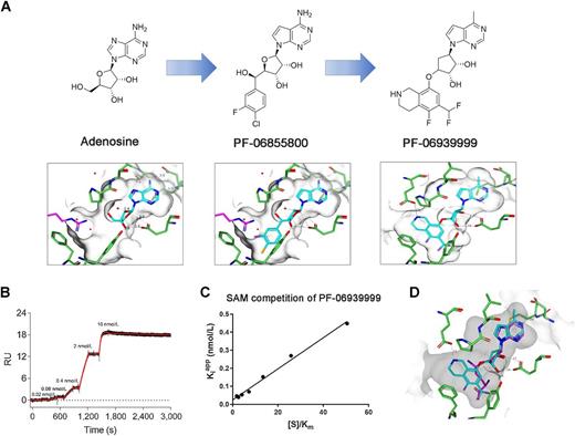SAM-Competitive PRMT5 Inhibitor PF-06939999 Demonstrates Antitumor ...