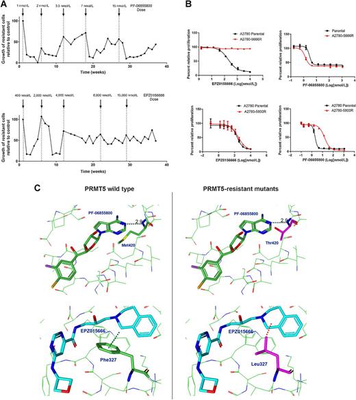 SAM-Competitive PRMT5 Inhibitor PF-06939999 Demonstrates Antitumor ...