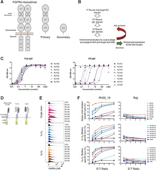 FGFR4-Targeted Chimeric Antigen Receptors Combined with Anti-Myeloid ...