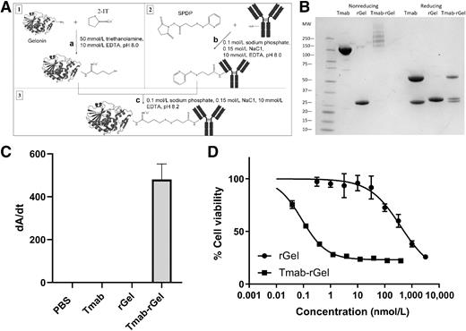 Transient Inhibition of Trastuzumab–Tumor Binding to Overcome the ...