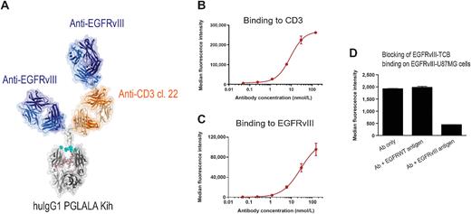 A Novel EGFRvIII T-Cell Bispecific Antibody for the Treatment of ...